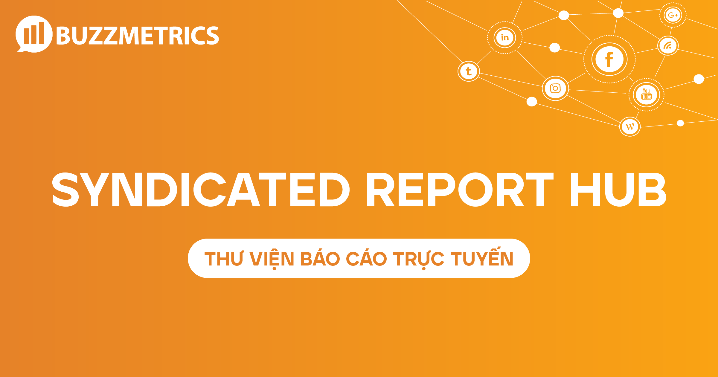 Introduction | Syndicated Report Hub | Buzzmetrics